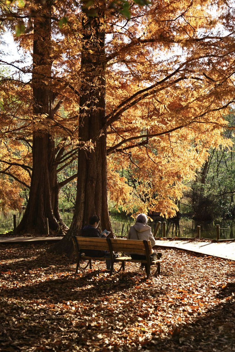 Late autumn | GANREF