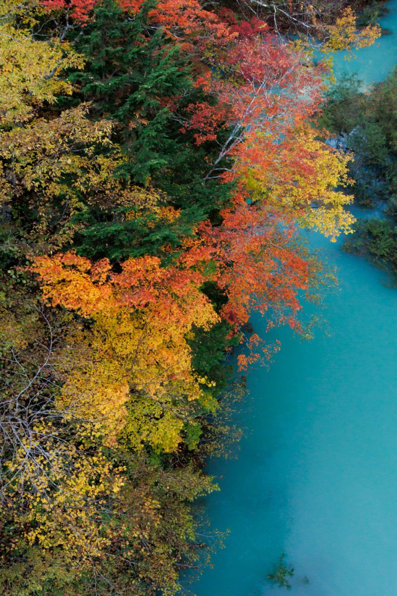 水縹（みはなだ)色に映える | GANREF