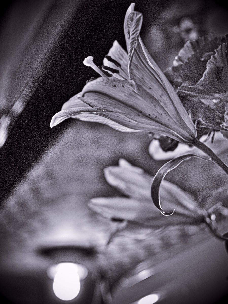 遠き日の喫茶店で！ | GANREF