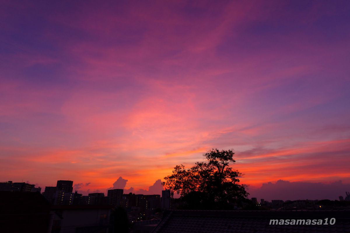 自宅夕景（2025/08/17） | GANREF