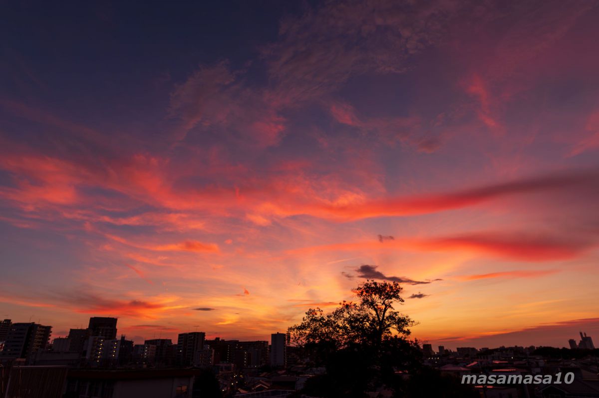 自宅夕景（2025/07/27） | GANREF