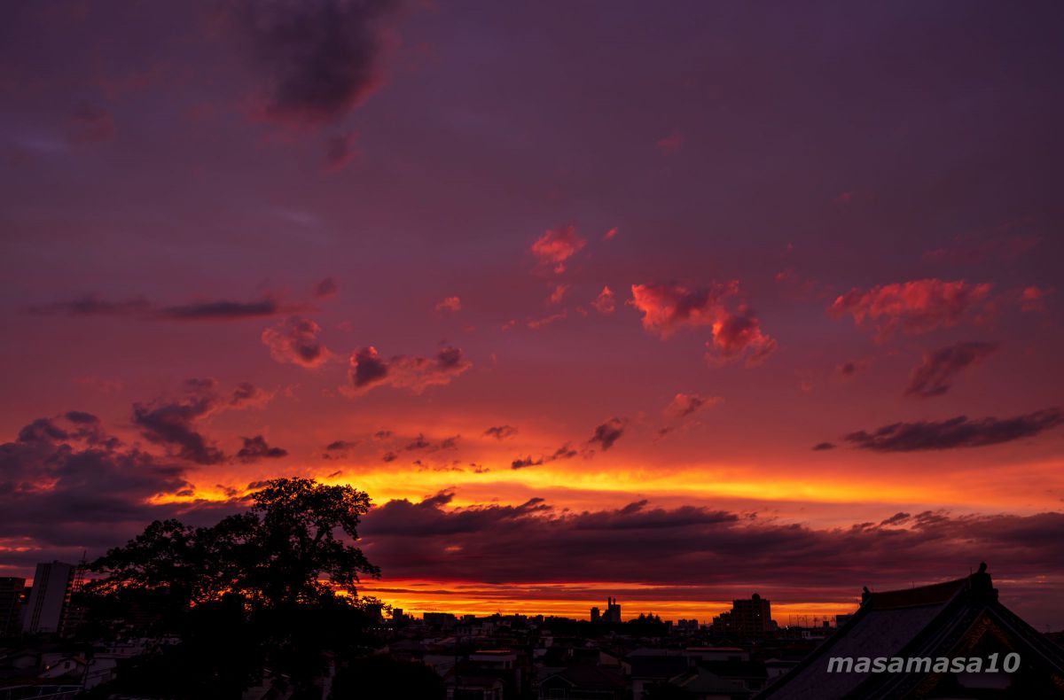 夕暮れ（2021/06/20） | GANREF