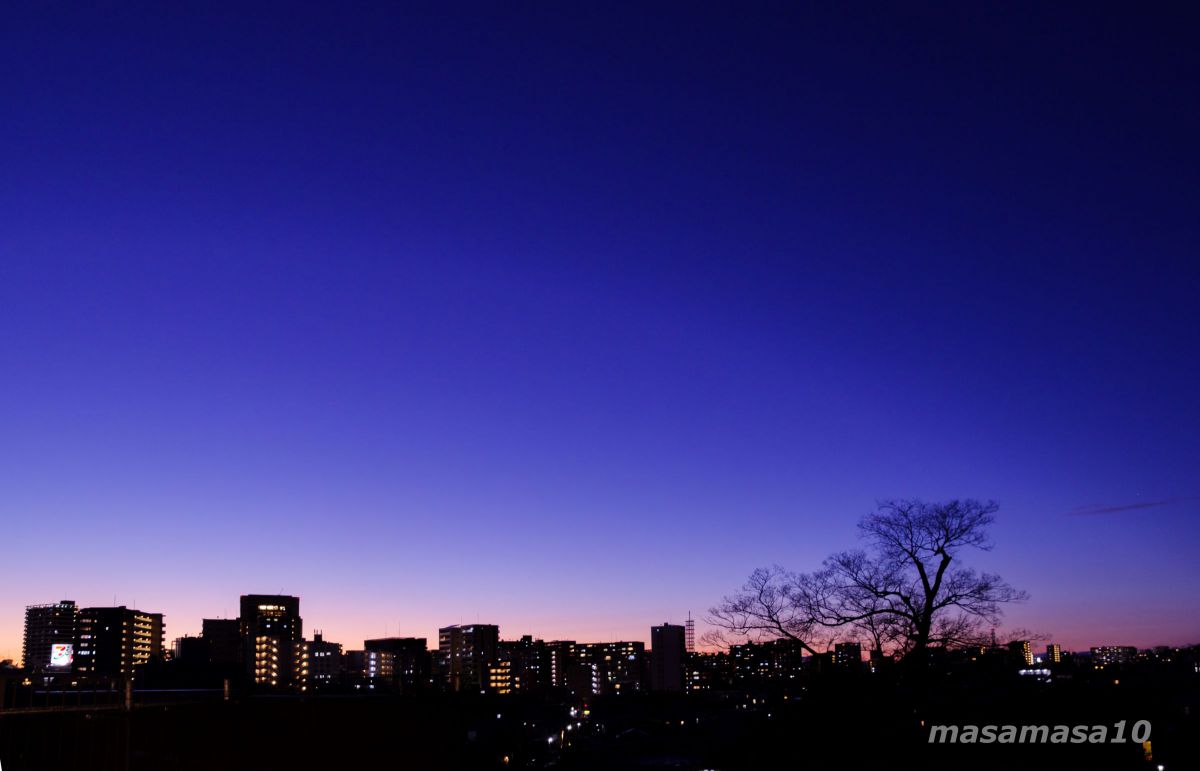 自宅夕景（2024-01-21） | GANREF