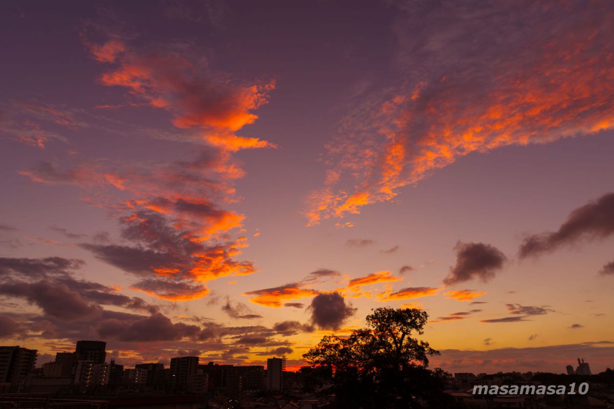 自宅夕景 2023-08-16 | GANREF