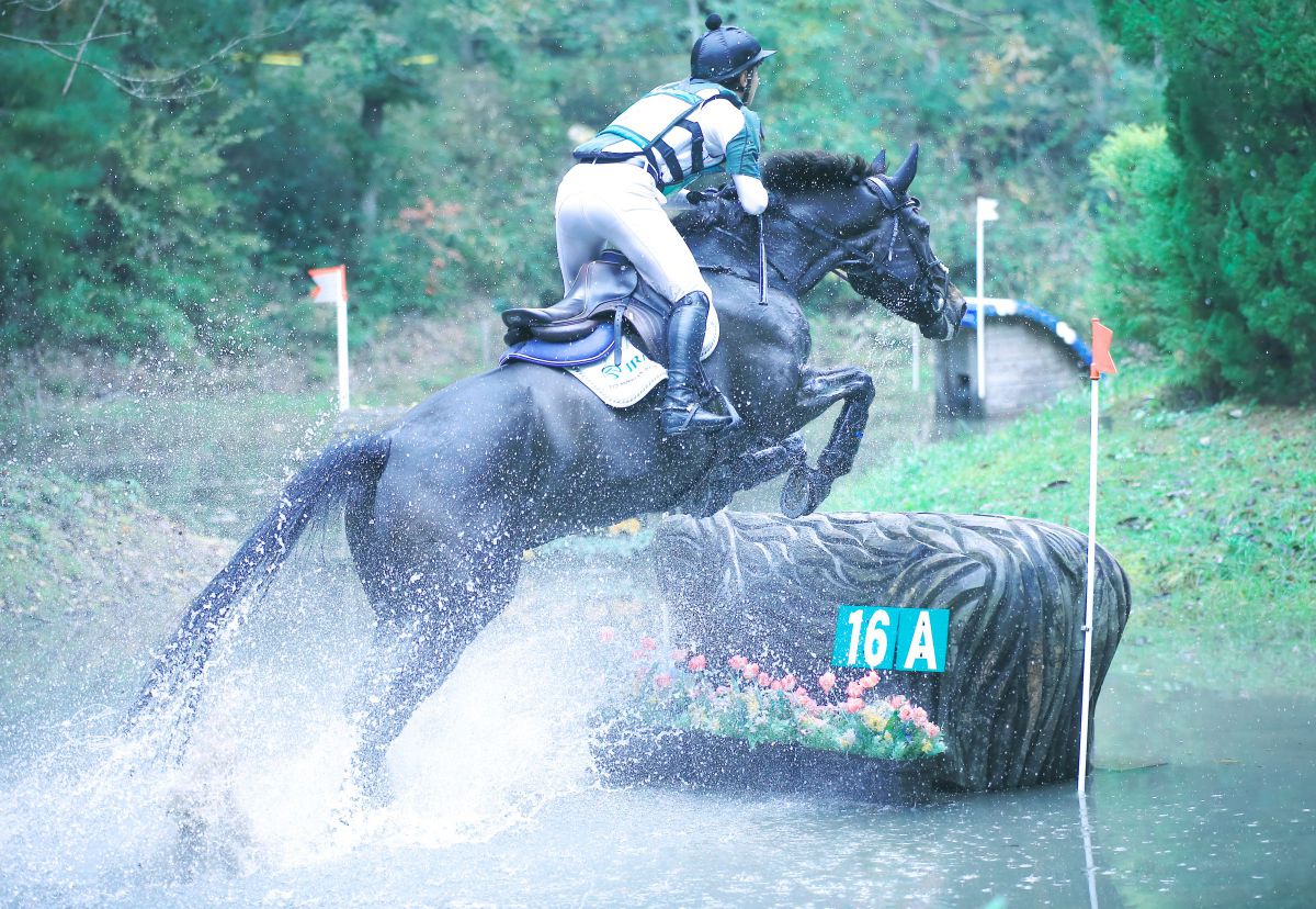 『飛越vol.7』 | GANREF