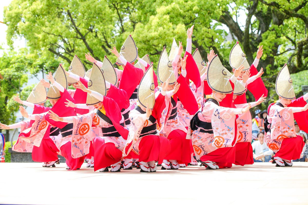 『優雅さと艶やかさvol.2』 | GANREF