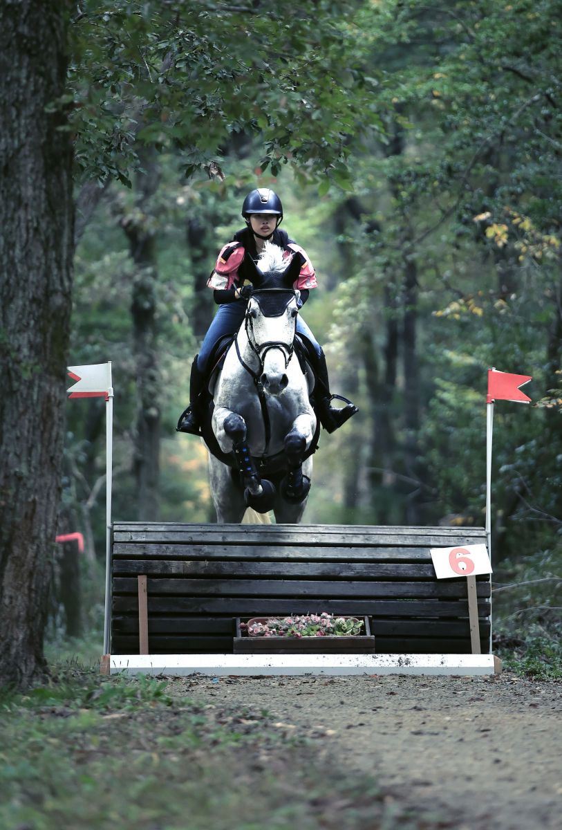 『飛越vol.5』 | GANREF