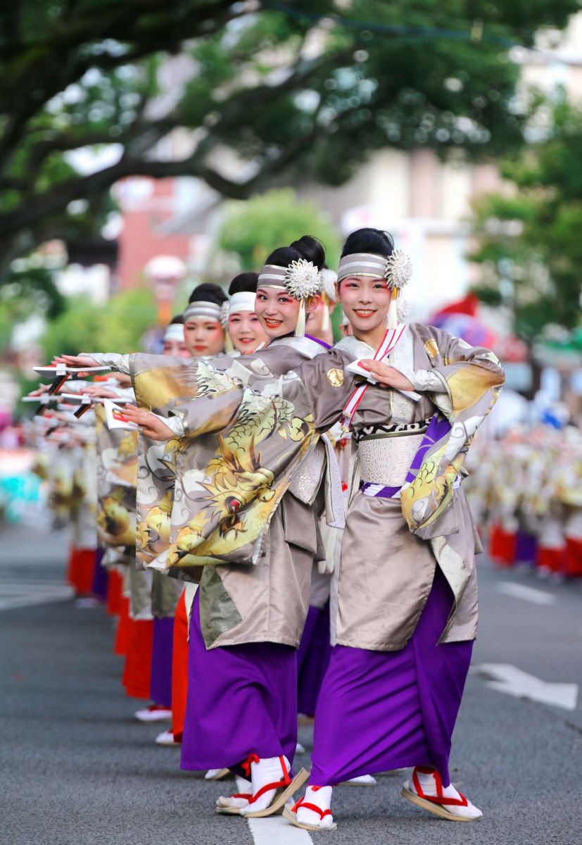 『美しく舞い踊る vol.6』 | GANREF