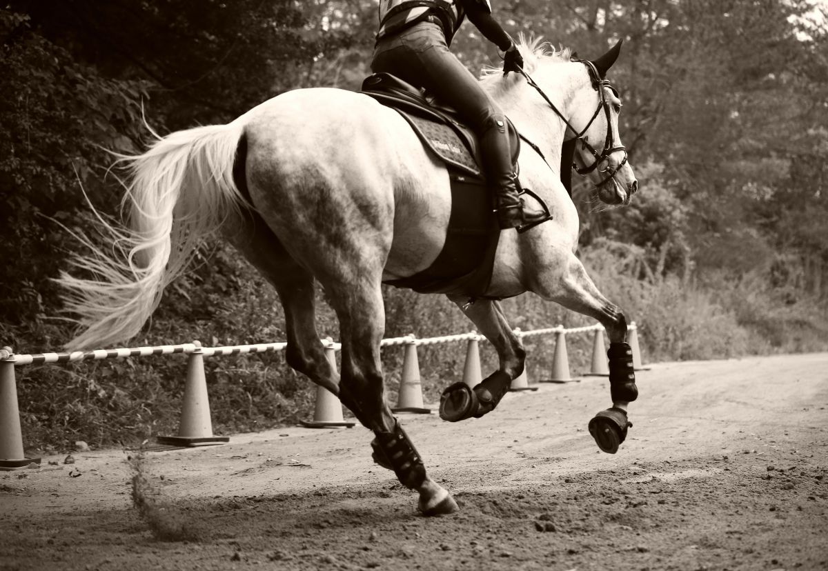 『脚力vol.2』 | GANREF