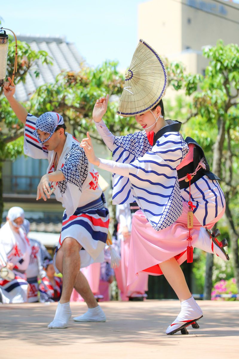 『優雅さと艶やかさvol.3』 | GANREF