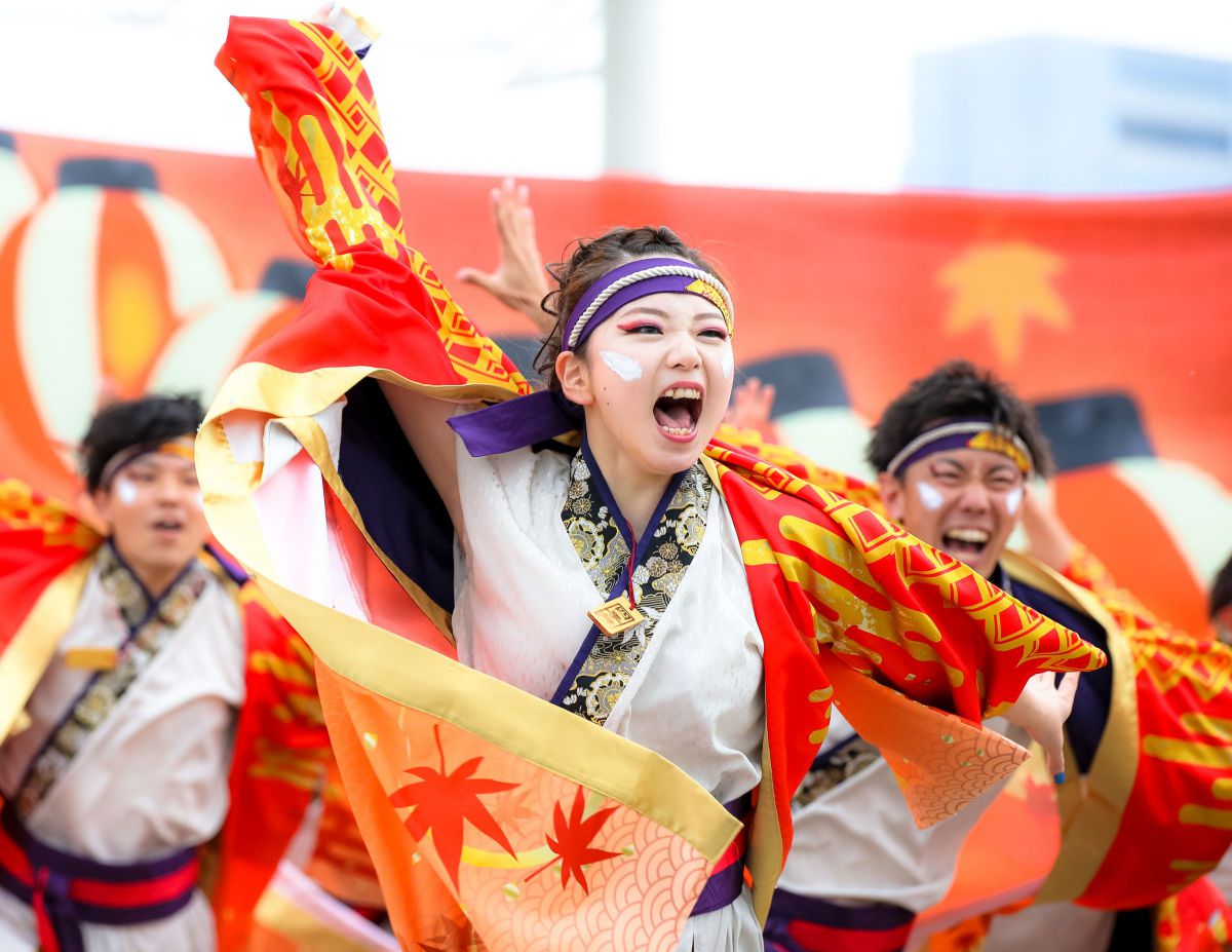 『夏の踊り子vol.24』 | GANREF