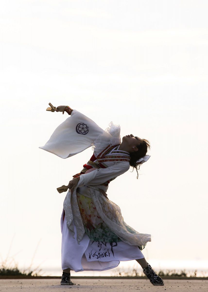 『優雅な舞vol.2』 | GANREF