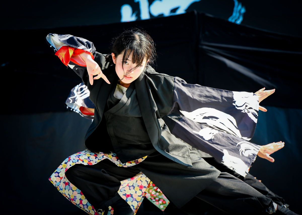 『夏の踊り子vol.19』 | GANREF