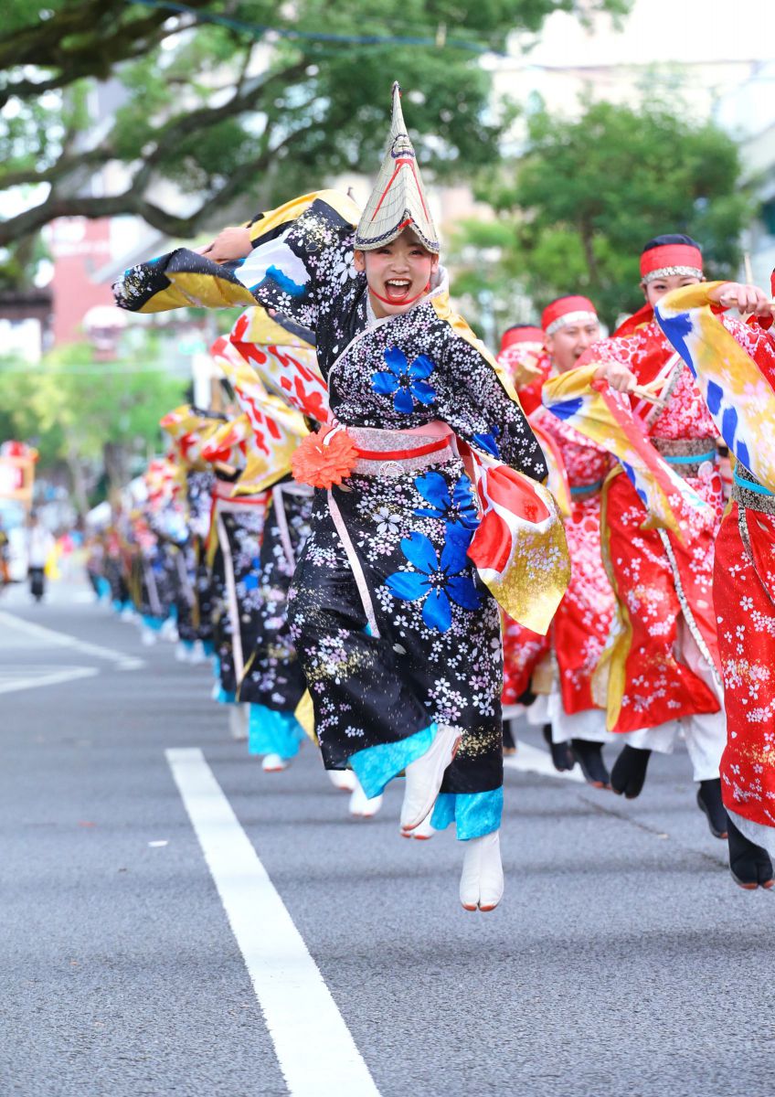『土佐の踊り子vol.4』 | GANREF