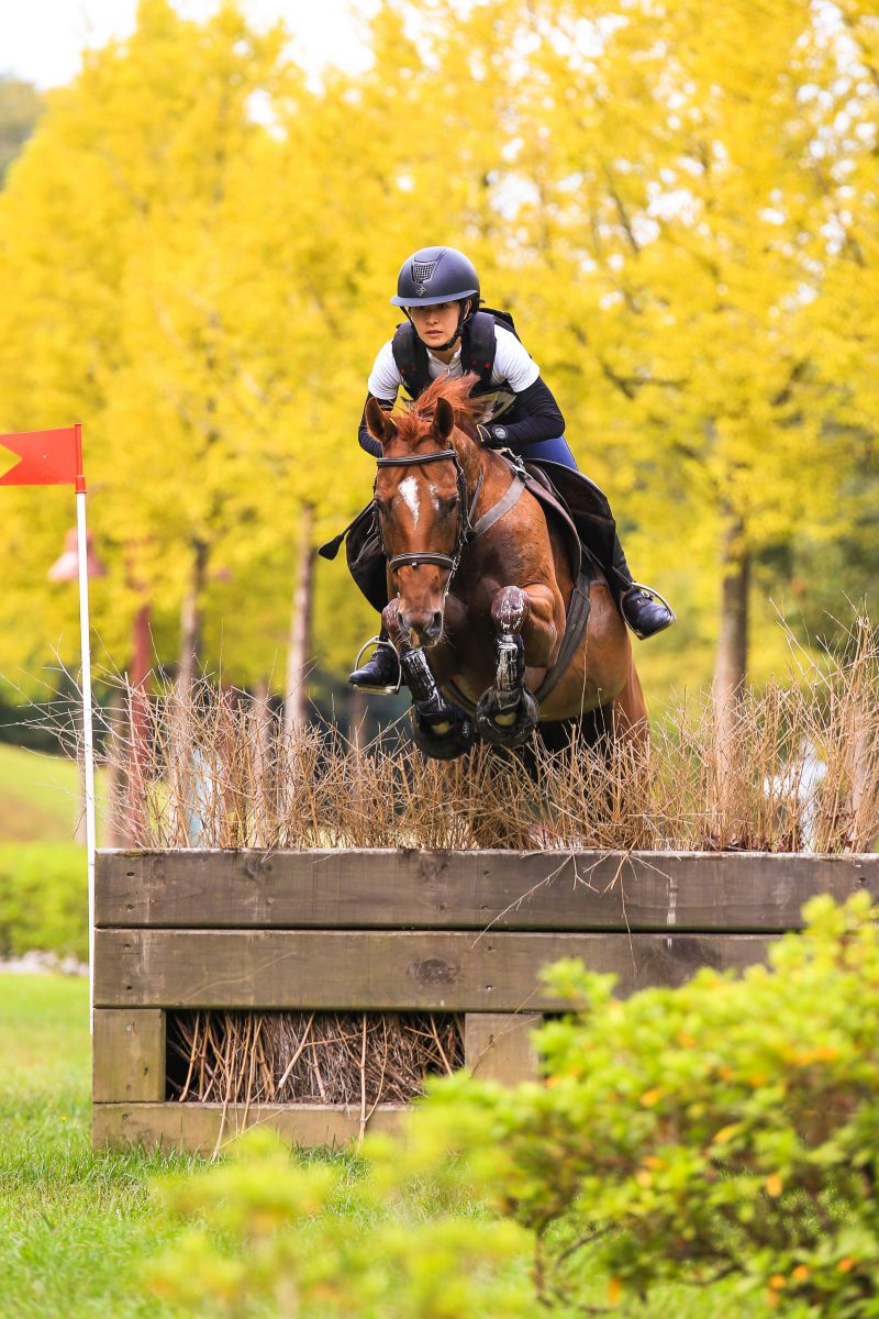 『クロスカントリー競技vol.15』 | GANREF