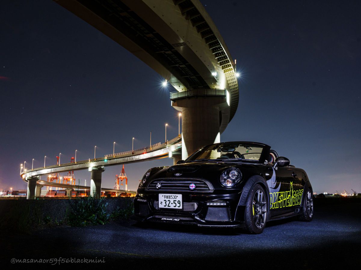 艶めかしい夜 | GANREF