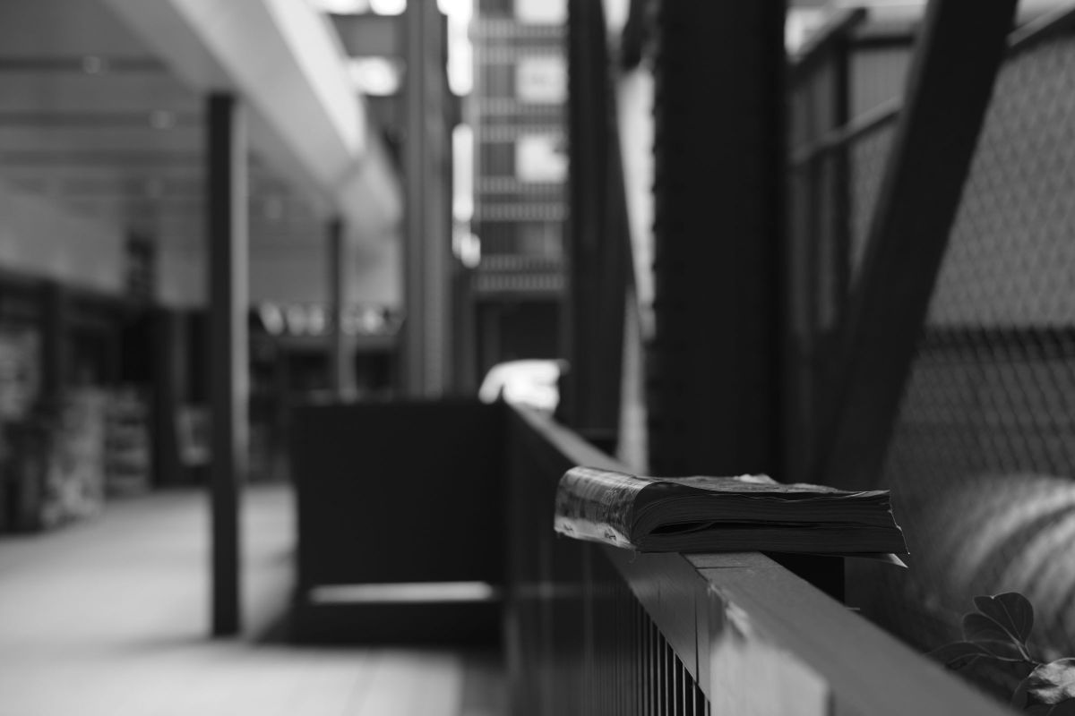 left behind | GANREF