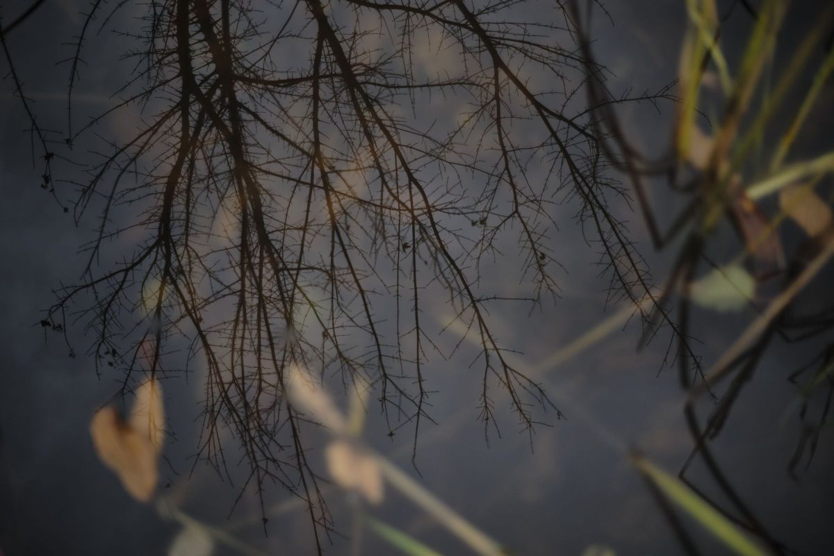 lost in thought | GANREF