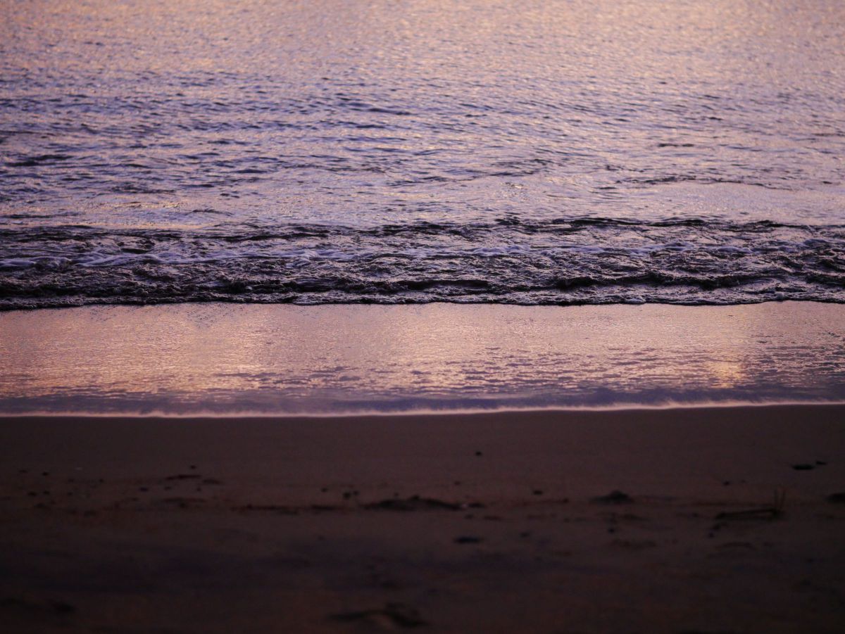 sea memory 2 | GANREF