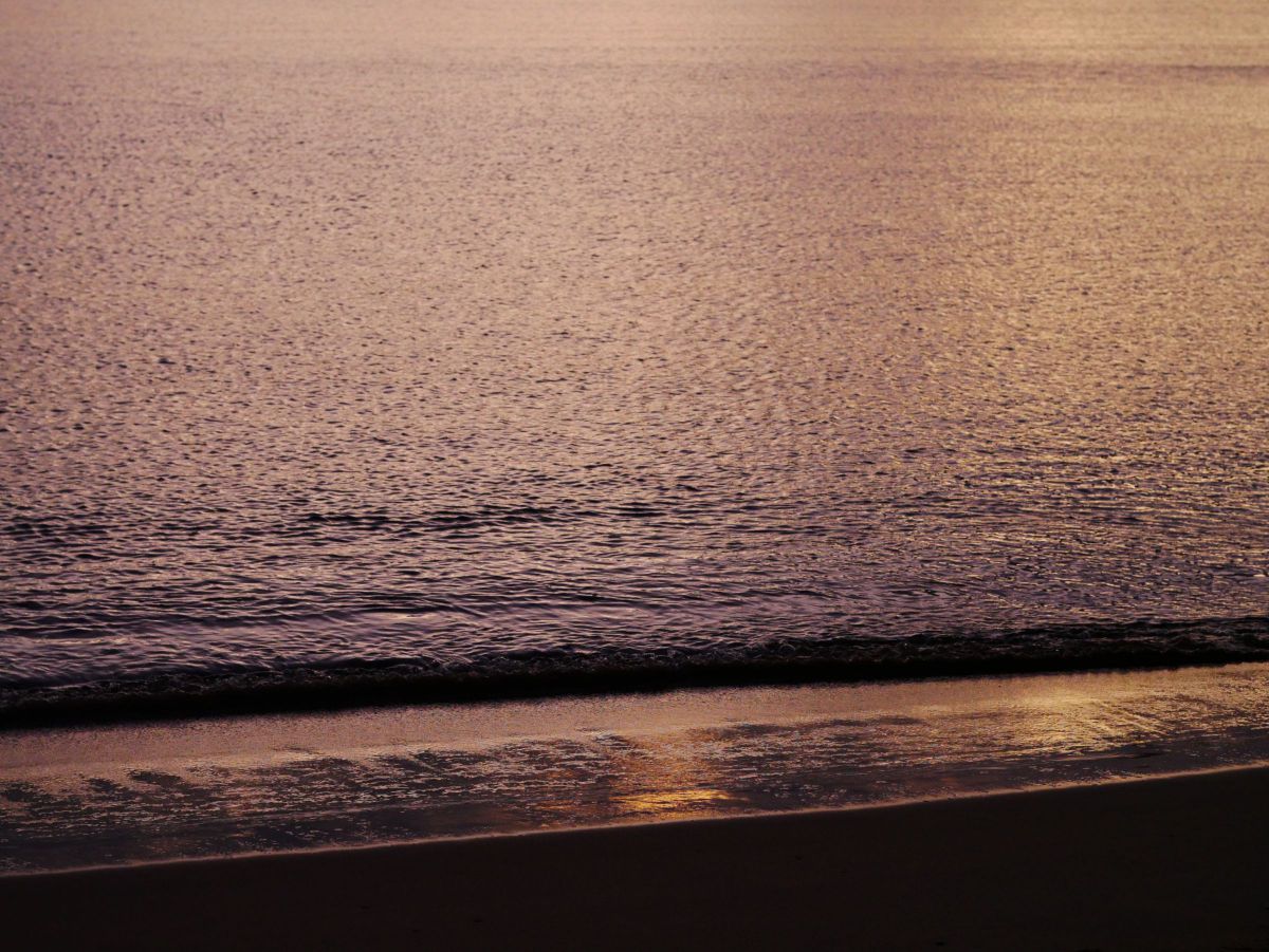 sea memory 4 | GANREF