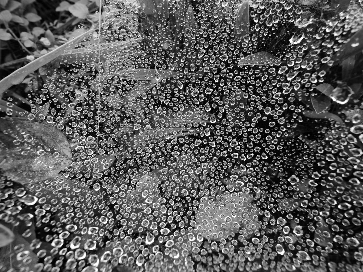 water drops | GANREF