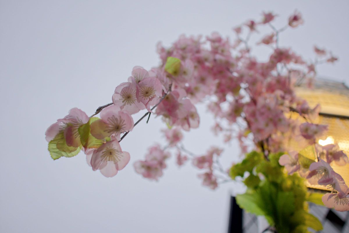 artificial flowers. | GANREF