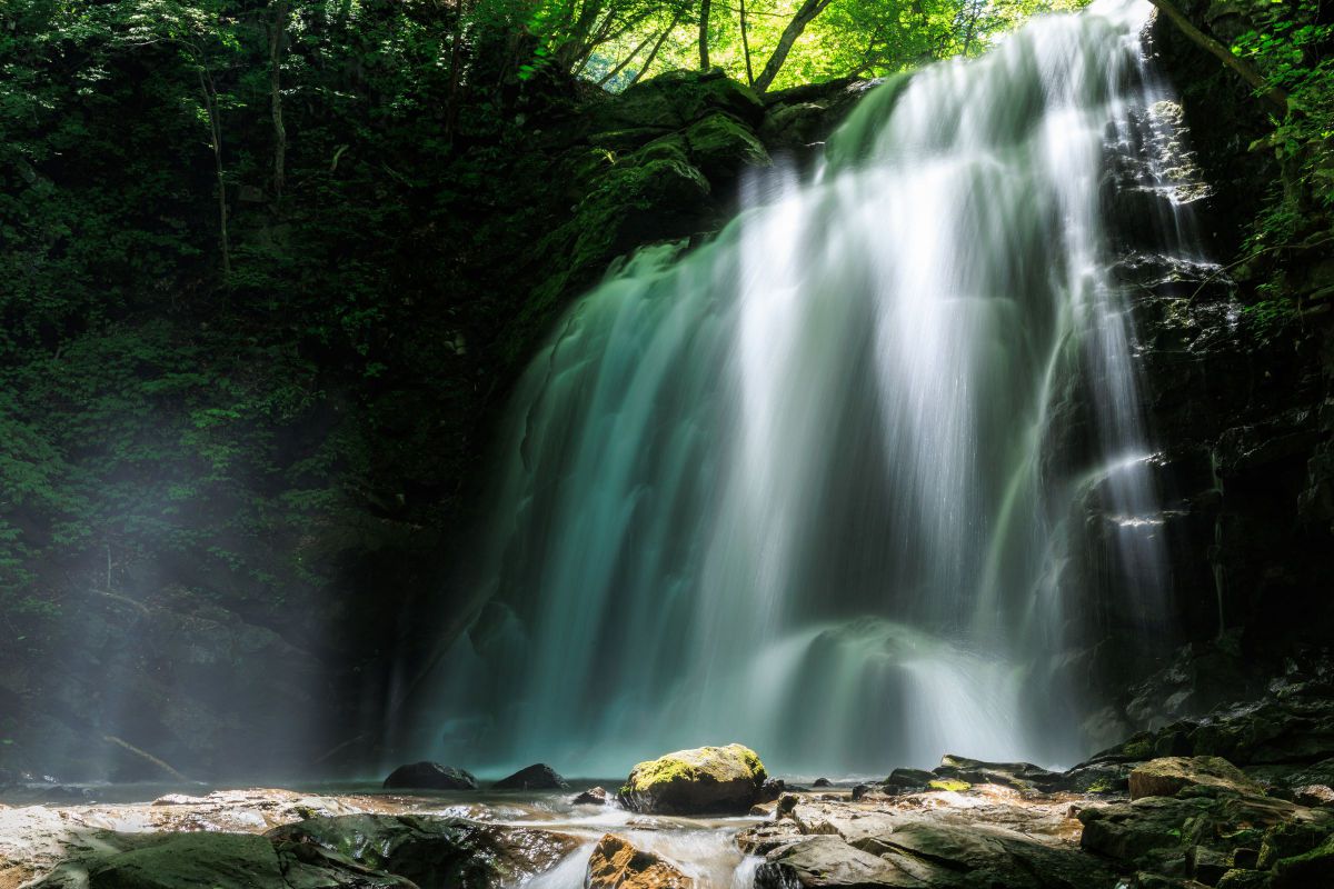 降り注ぐ光 | GANREF