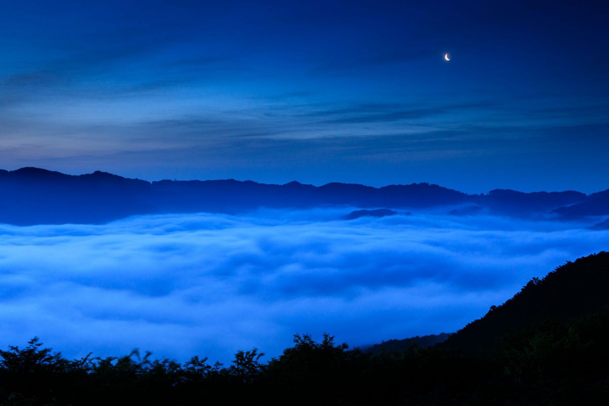 Talking To The Moon | GANREF