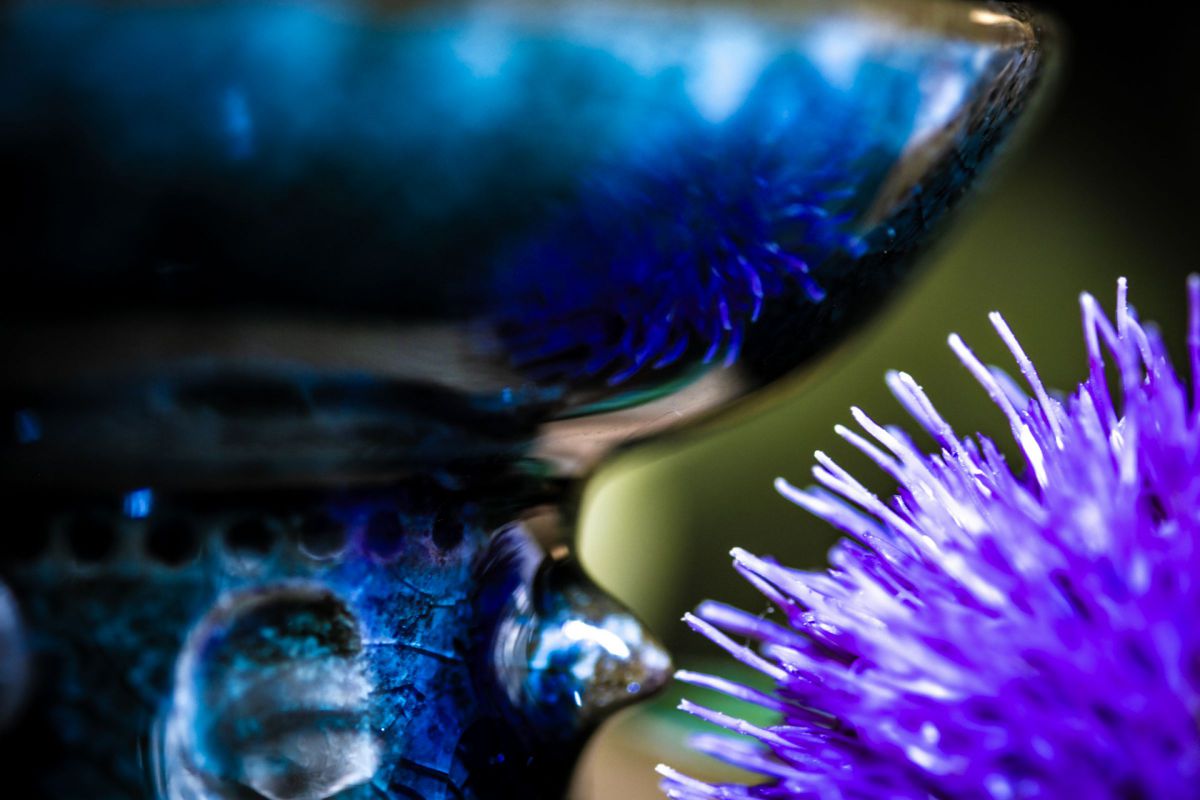 Blue Needles | GANREF