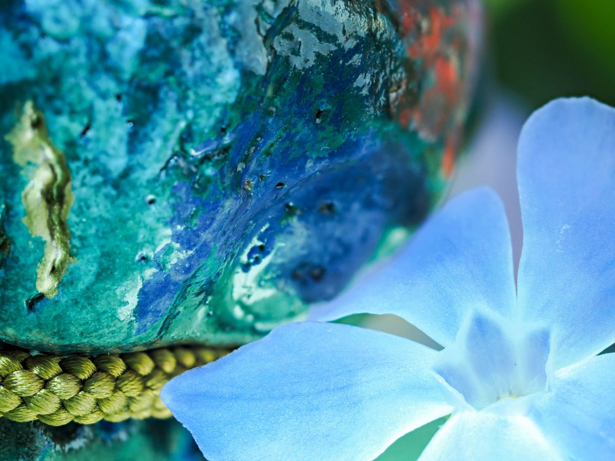 Blue Reflection | GANREF