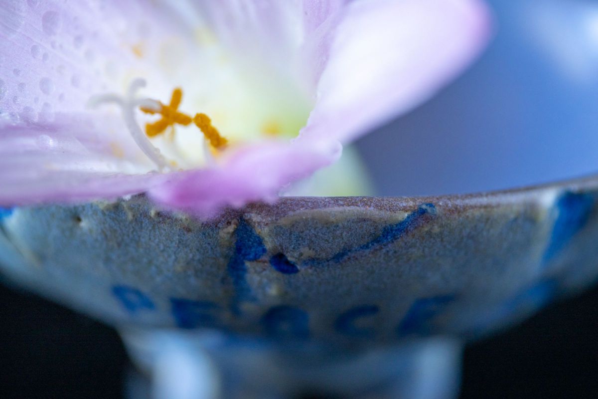 霞むPEACE | GANREF