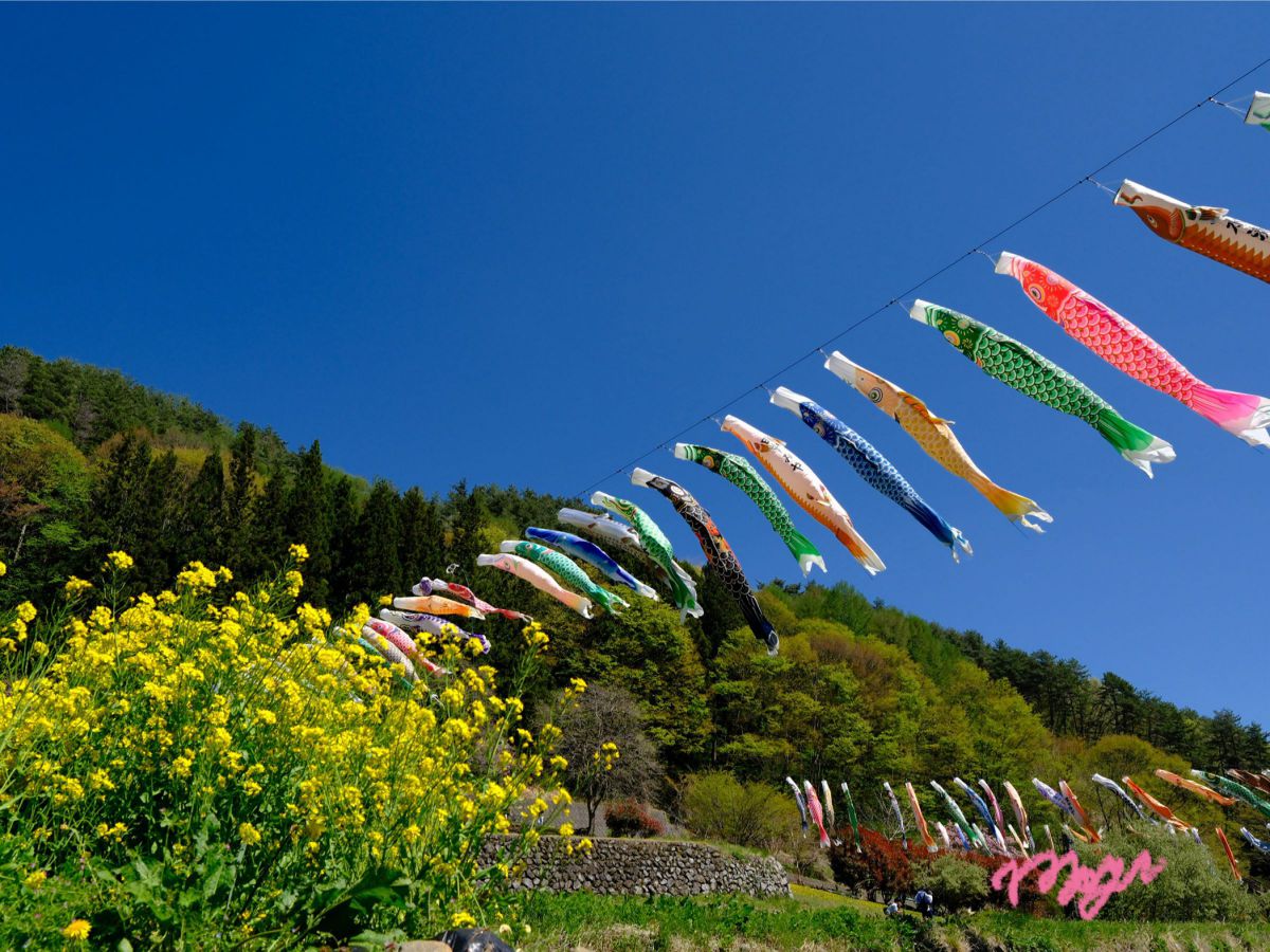 菜の花と鯉のぼりたち | GANREF