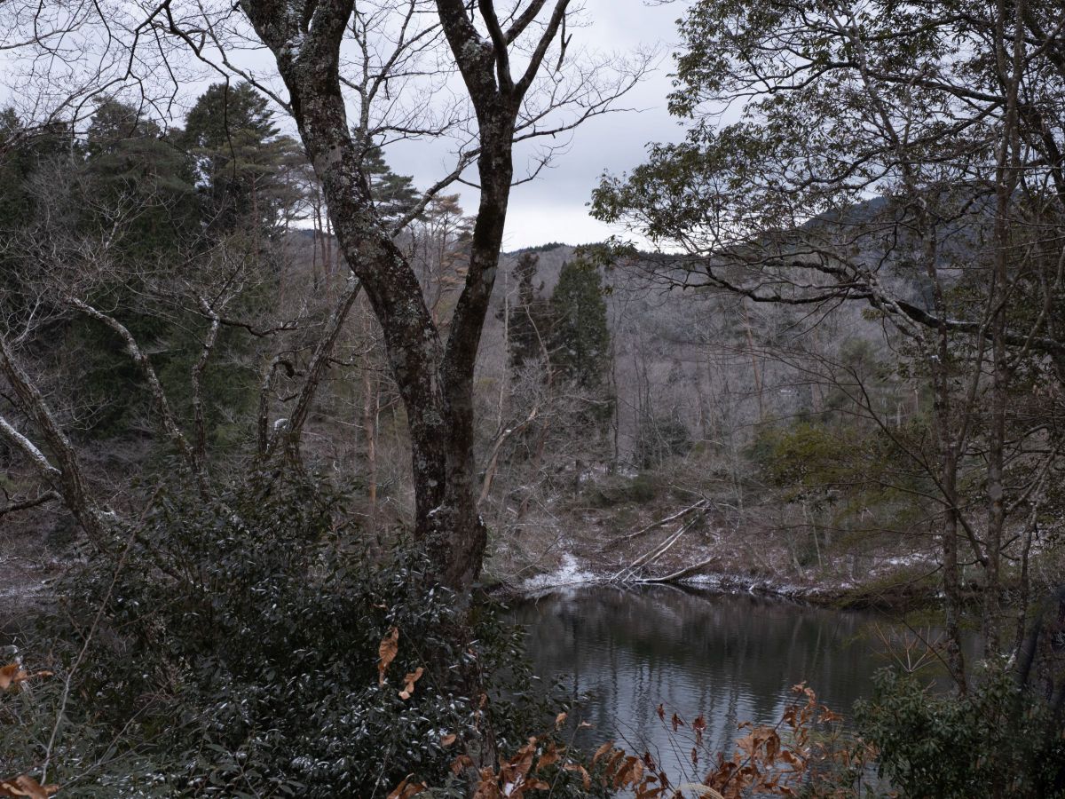 Secret of Free | GANREF