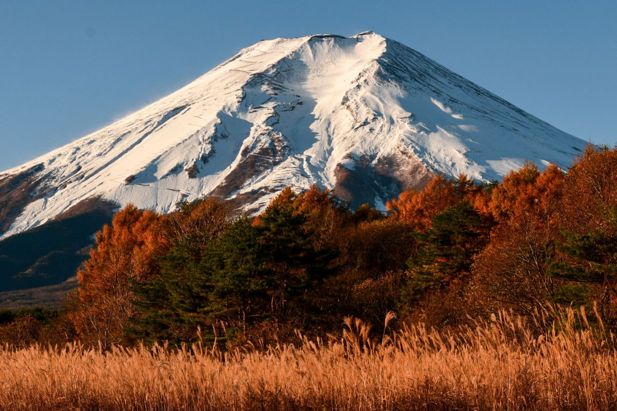 Dynamic Mt,Fuji | GANREF
