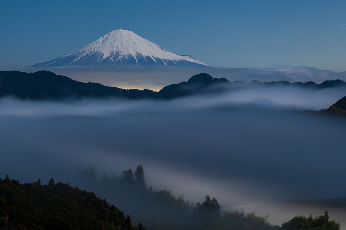 光透ける吉原 | GANREF