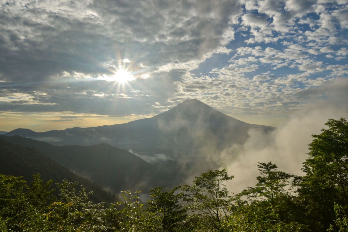 濃霧の中から出現 | GANREF