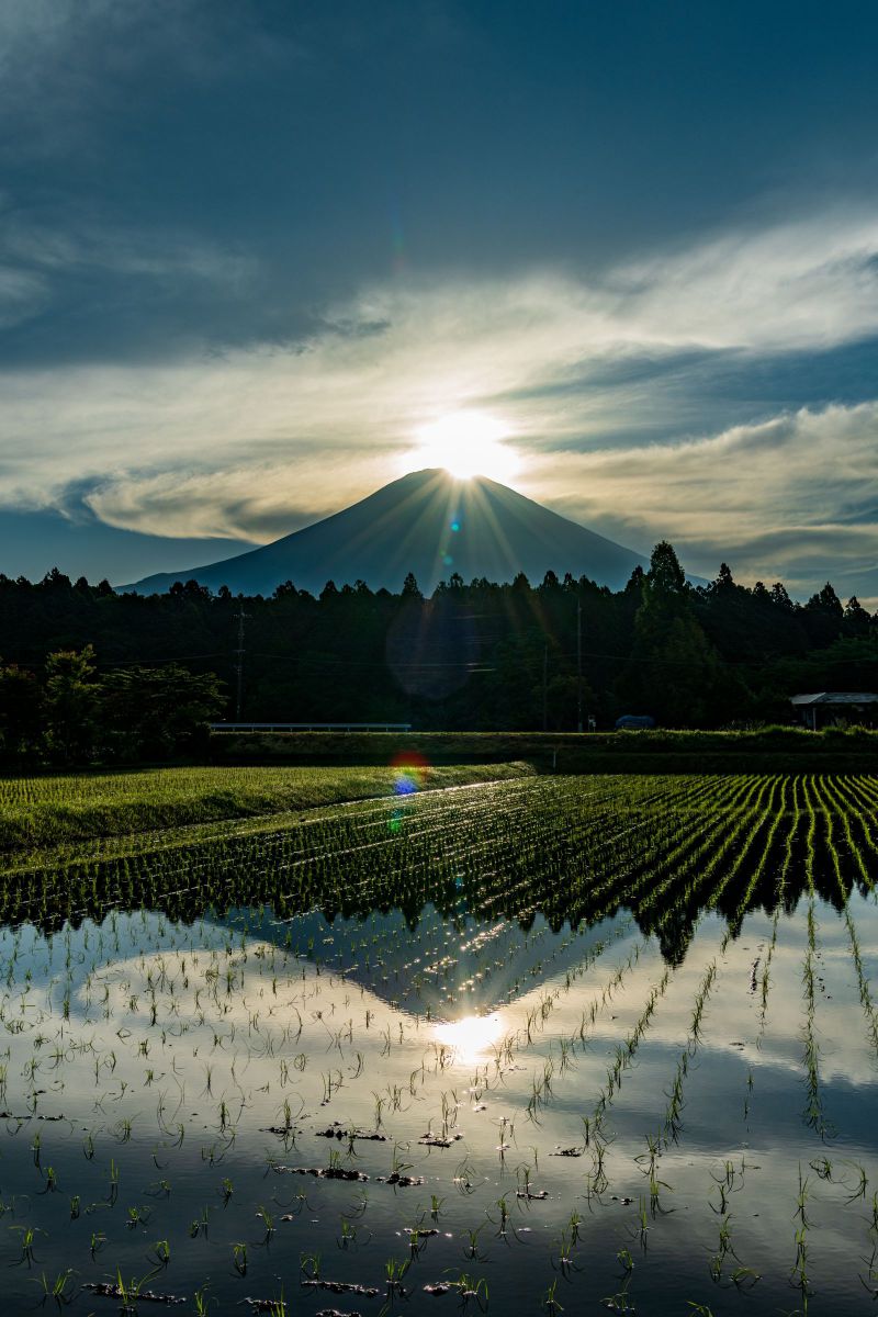 田んぼのダブルダイヤモンド富士 | GANREF