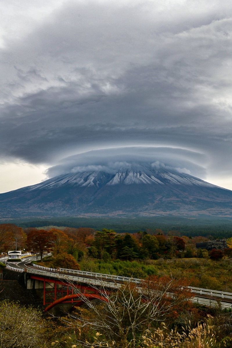 大暴れの姫 | GANREF