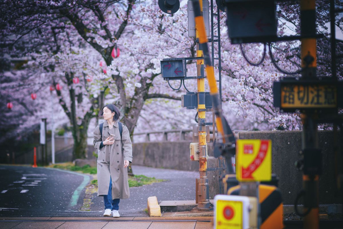 思い返すさくら色 | GANREF