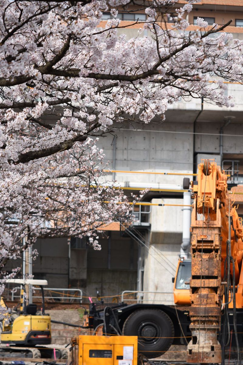 Beauty and the Beast | GANREF