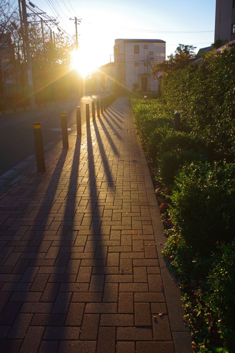 1/365の放射線 | GANREF