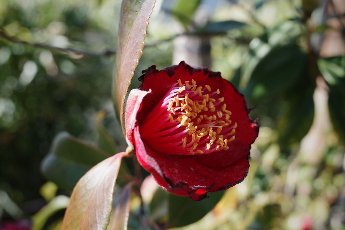 2024-02-28_008 | GANREF