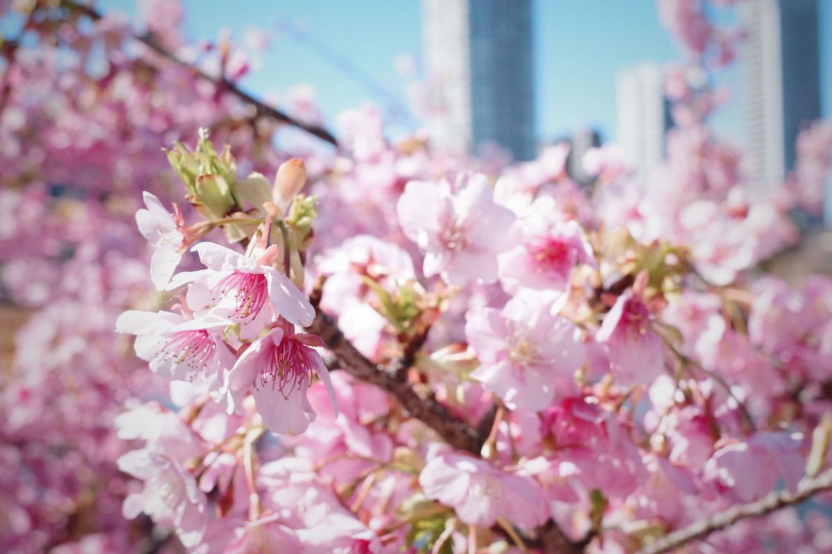 2024-02-28_000 | GANREF