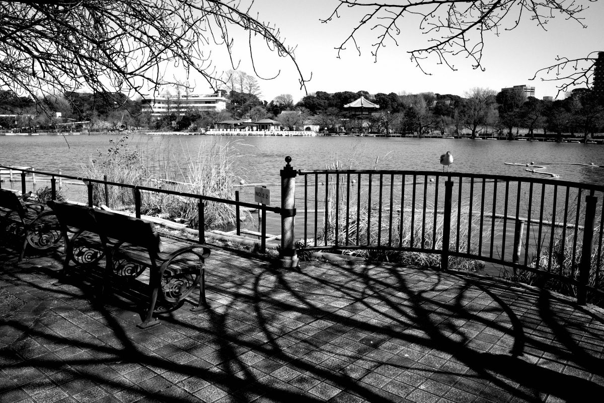 2024-02-28_005 | GANREF