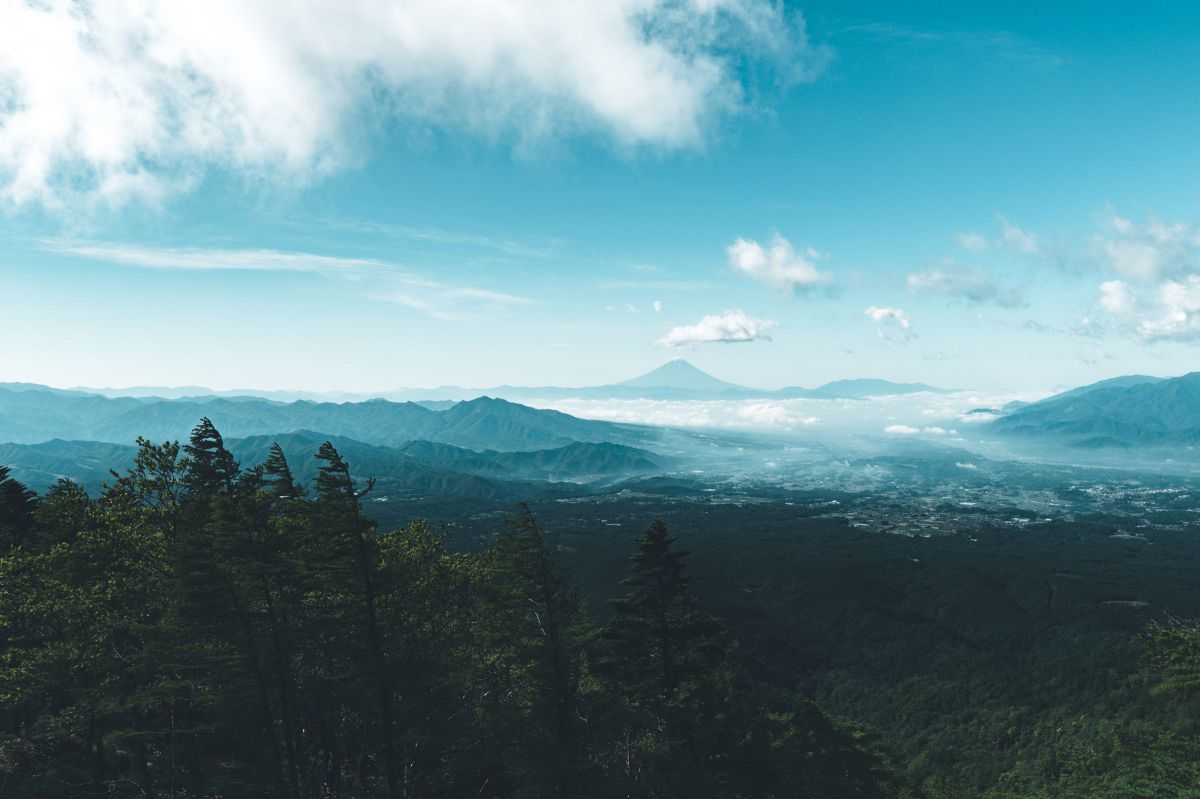 Gazing at Fuji | GANREF