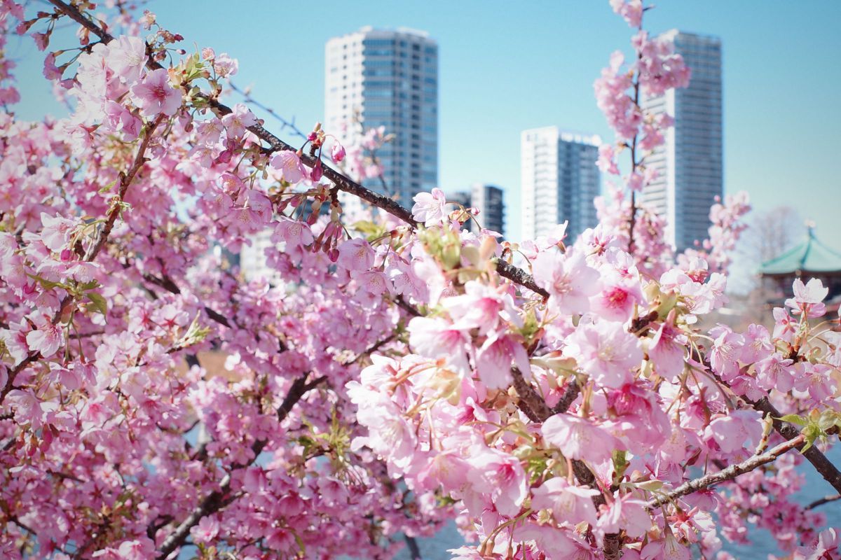 2024-02-28_002 | GANREF