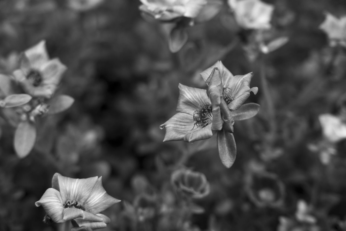 浮遊 Floating | GANREF