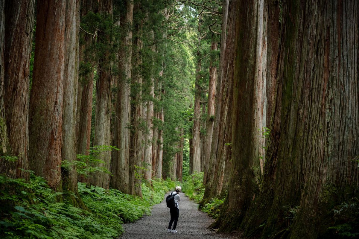 ミニチュア世界 | GANREF