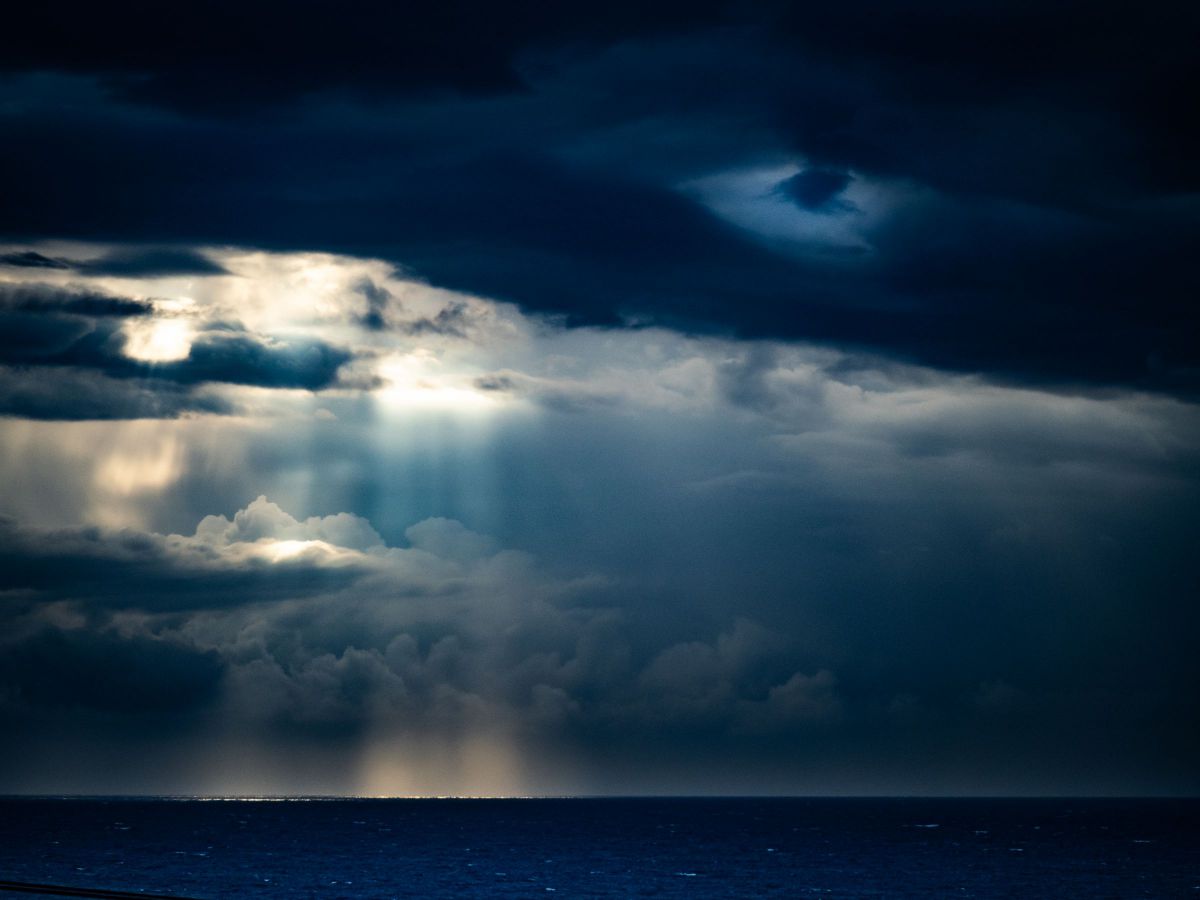 Light and Shadow | GANREF