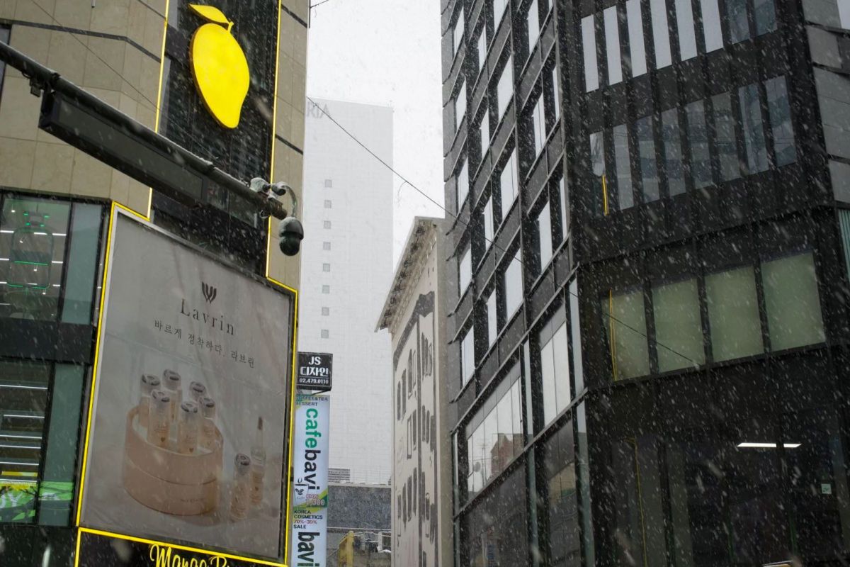 blizzard in City | GANREF